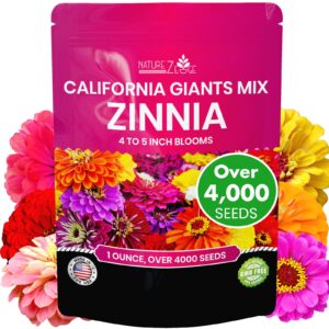 naturez edge zinnia seeds for planting outdoors, flower seeds, bulk semillas de flores para sembrar, california giants, 1 oz