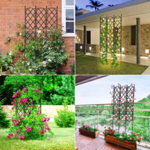 Garden Trellis for Climbing Plants, Deaunbr Plant Support Obelisk Trellis Garden Trellises for Vines, Flowers Stands, Raised Bed, Outdoor & Indoor Potted Plants, Tomato, Rose, Cucumber, Pea, Clematis