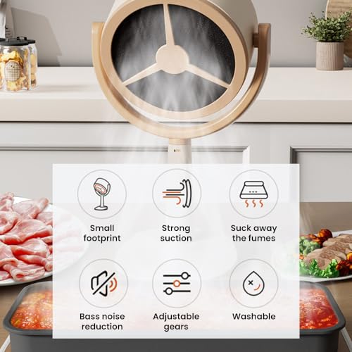 Lorivu Smoke Purifier,Portable Smoke Purifier Lorivu Portable Range Hood,Air Purifier Lorivu Smoke Remover Fan Mini Cooker Hood for Indoors (Plug-in A Set)