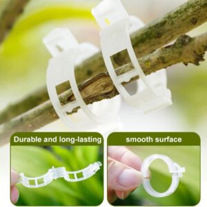 Secured Plastic Plant Clips, 2024 Combinable Plant Support Clips, Plastic Trellis Clips for Climbing Plants, Vine Vegetables Fixing Clips, Plant Clips for Tomato Trellis & Peony Cages (Green, 100pcs)