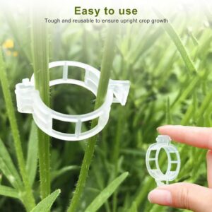 Secured Plastic Plant Clips, 2024 Combinable Plant Support Clips, Plastic Trellis Clips for Climbing Plants, Vine Vegetables Fixing Clips, Plant Clips for Tomato Trellis & Peony Cages (Green, 100pcs)