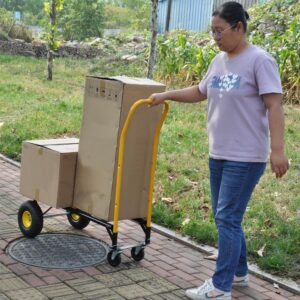 Hand Truck Dual Purpose 2 Wheel Dolly Cart and 4 Wheel Push Cart with Swivel Wheels 330 Lbs Capacity Heavy Duty Platform Cart for Moving/Warehouse/Garden/Grocery - Black