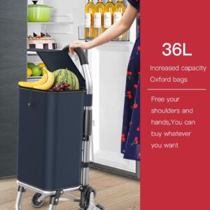 PIPRE Portable Shopping cart Bigger carts with 3 Wheels Foldable,Stamp Motif Shopping Grocery Foldable Cart