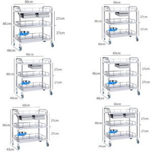 Stainless Steel 3-Tier Medical Trolley Laboratory cart Thick and Comfortable Handle Used in Beauty Salons Hospitals with a Load of 100kg (Full)