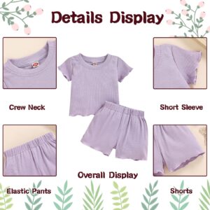 Dimoybabe Toddler Girl Clothes 2T Toddler Girl Summer Outfits Clothes Set Ruffle Ribbed Short Sleeves T-Shirt Tops Shorts Comfy Outfits (Light Purple Ruffle, 2-3T)