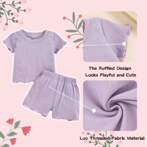 Dimoybabe Toddler Girl Clothes 2T Toddler Girl Summer Outfits Clothes Set Ruffle Ribbed Short Sleeves T-Shirt Tops Shorts Comfy Outfits (Light Purple Ruffle, 2-3T)