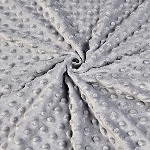 Boyoung Baby Blanket, Soft Minky Warm Blanket for Boy or Girl, Receiving Blanket with Double Layer Dotted Backing for Newborns 7894222 0