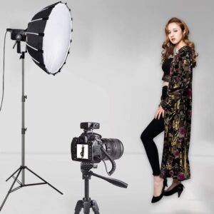 Heavy Duty Light Stand 9.5ft, Aluminum Alloy Lights Stand Spring Cushioned Adjustable Photo Video Lighting Stand, Photography Studio Tripod Stands for Flash LED Video Lights, Ring Lighting, Softboxes