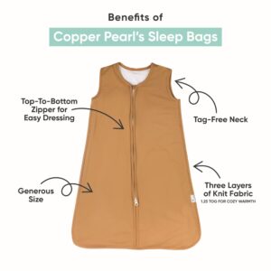 Copper Pearl Sleep Sack: Warm and Cozy Baby Bag in a Variety of Trendy Designs, Safe Alternative to Blankets, Sleeveless Baby Sleep Sack Swaddle Sizes Newborn to 24 Months - Cookie Monster