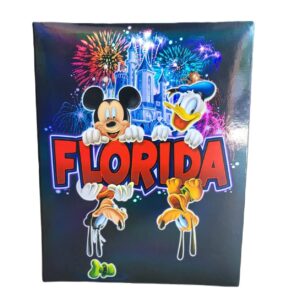 7STAR Fireworks Over Florida Photo Album - 8.75" x 7", Holds 200 Photos (4"x6") Photos for Memorable Events - Self-Adhesive Scrapbook for Weddings, Birthdays, and Vacations