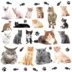 woyinis 3d lovely kitty wall decals kitten stickers diy removable fish cat paws wall stickers peel and stick kitten wall decals for girls bedroom playroom nursery wall decor