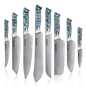 xt xituo knife set knife professional kitchen japanese knife set steel chef knife abalone shell handle santoku meat vegetable cleaver cut cutting vegetable (8pc chef knife set)