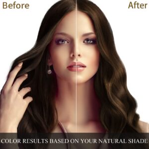 Ivnil Chestnut Brown Hair Dye Shampoo 3 in 1 Hair Color Shampoo for Women & Men - Herbal Ingredients Color Shampoo in Minutes 500ML