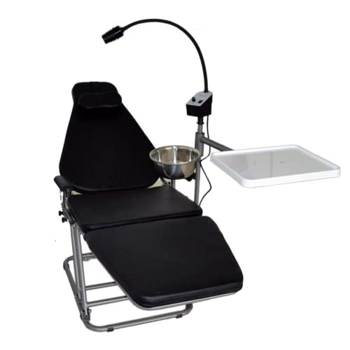 SGOE Dental Portable Chair with LED Exam Light and Tray with Nylon Bag Color Black