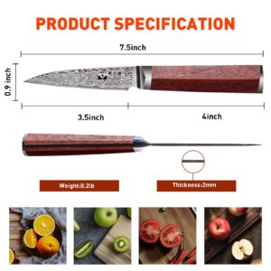 FUJUNI Damascus Paring Knife 3.5-inch Fruit and Vegetable Paring Knife 67-Layer Damascus with VG10 Cutting Core Peeling Knife with Full Tang Ergonomic Natural Wood Handle for Peeling