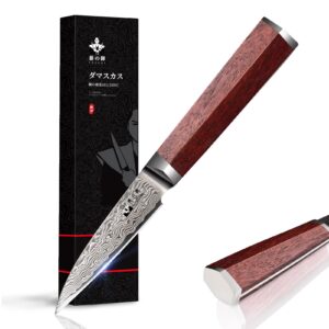 fujuni damascus paring knife 3.5-inch fruit and vegetable paring knife 67-layer damascus with vg10 cutting core peeling knife with full tang ergonomic natural wood handle for peeling