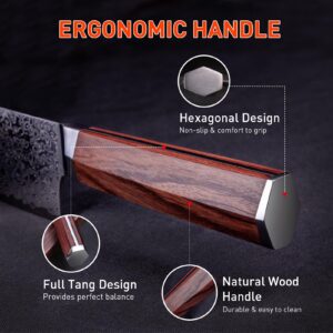 FUJUNI Damascus Paring Knife 3.5-inch Fruit and Vegetable Paring Knife 67-Layer Damascus with VG10 Cutting Core Peeling Knife with Full Tang Ergonomic Natural Wood Handle for Peeling