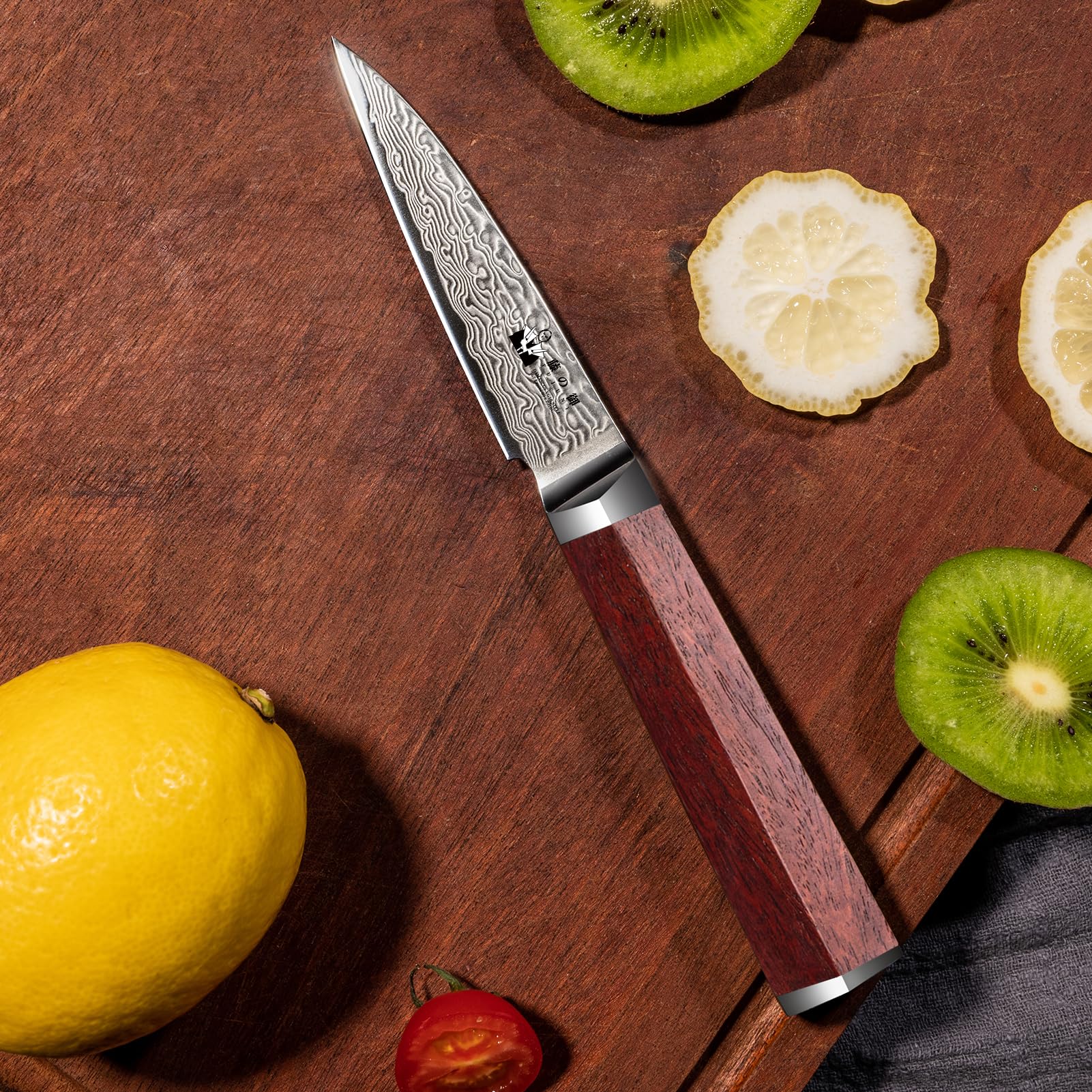 FUJUNI Damascus Paring Knife 3.5-inch Fruit and Vegetable Paring Knife 67-Layer Damascus with VG10 Cutting Core Peeling Knife with Full Tang Ergonomic Natural Wood Handle for Peeling