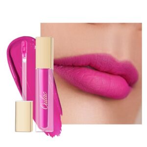 oulac matte barbie pink lipstick for women, liquid long lasting lip stick waterproof, smudge-proof, creamy high pigmented formula with rose oil, vegan & cruelty-free,pink m06