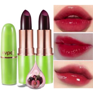 evpct 2pcs black red cherry color changing magic lipstick tinted lip balm stain gloss set ph lazy lipstick waterproof color change changing jelly lipstick labiales magicos mate 24 horas originales