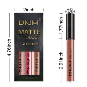 AMY'S DIARY 3Pcs Matte Liquid Brown Lipstick Sets, Brown Lip Stain Long Lasting 24 Waterproof Lip Gloss Makeup Gift Set for Women Lippies(Set09)