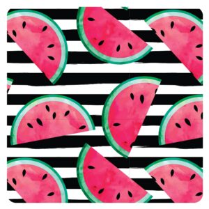 BapronBaby Summer Stripes Watermelon Wet Dry Bag - Waterproof Two Zipper Pockets - Reusable for Mealtime, Diapers, Stroller, Snacks, Swimsuits - Machine Washable - 11" x 9"