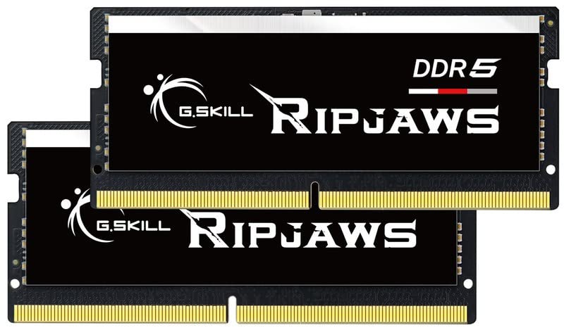 G.SKILL Ripjaws DDR5 SO-DIMM Series DDR5 RAM 32GB (2x16GB) 4800MT/s CL34-34-34-76 1.10V Unbuffered Non-ECC Notebook/Laptop Memory SODIMM (F5-4800S3434A16GA2-RS)