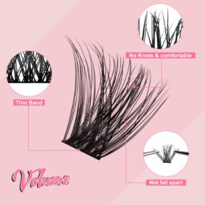 DIY Eyelash Extensions 78pcs Crislashes Mixed Eyelash Clusters 8-16mm D Curl Volume DIY Cluster Eyelash Extensions for Home Use(H-D Curl Mix8-16mm)