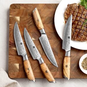 XINZUO Steak Knife Set of 4, Damascus Powder Steel Kitchen Steak Knife Set, Non Serrated Steak Knives, Razor-Sharp Dinner knives with Gift Box, Kitchen Table Knife with Olive Wood Handle-Lan Series