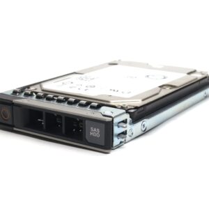 Epoch XTH17 900GB 15K SAS 2.5 12Gb/s Hard Drive Upgrade KIT