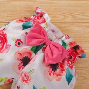 GRNSHTS Kids Baby Girl Sister Floral Outfits Promoted To Big Sister Short Sleeve Shirt+Floral Bowknot Shorts+Headband 3Pcs Clothes (Rose Red, 12-18 Months)