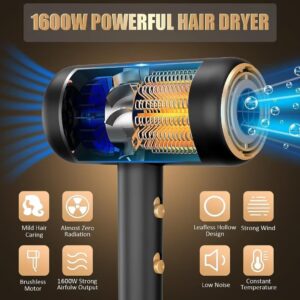 1600W Ionic Hair Dryer, Professional Negative Ion Hair Blow Dryer with Diffuser &2 Nozzles for Curly Hair, Powerful AC Motor, 3 Heating/2 Speed/Cold Settings for Women Men Kids Salon