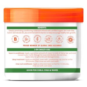 Cantu Leave-In Conditioning Repair Cream with Argan Oil, 16 oz (Pack of 2) (Packaging May Vary)