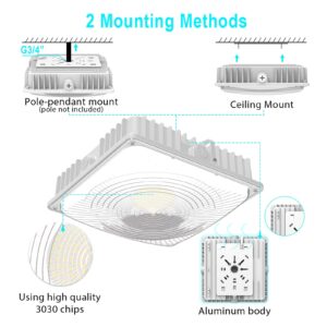 LED 75W Canopy Light Outdoor, Super Bright 5000K Daylight 9750LM IP65 Waterproof Outdoor Carport Ceiling Light, AC100-277V for Commercial Canopy Lights, Gas Station, Garage, Shop Lighting(1 Pack)