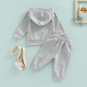 Thorn Tree Infant Baby Boys Pants Set Hooded Solid Sweatshirt Top Pocket Elastic Waist Pants 2Pcs Outfits Fall Winter Suit (Gray,6-12 Months)