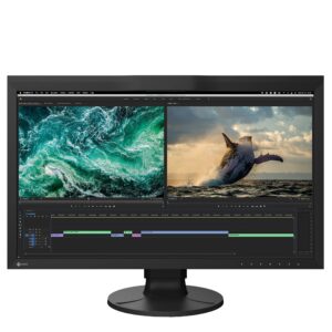 Eizo ColorEdge CG2700S-BK 27" Class WQHD LCD Monitor - 16:9 - Black