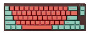 leopold x mk fc660mbt vapor 65% double shot pbt wireless/bluetooth mechanical keyboard (cherry mx brown)