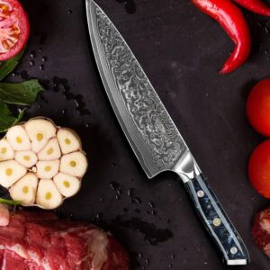 SANMUZUO Chef Knife - 8 inch - Xuan Series - VG10 Damascus Steel Kitchen Knife - Resin Handle (Starry Black)