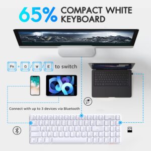 LexonElec 60% Wireless Mechanical Gaming Keyboard,2.4G/Bluetooth/Wired 69 Keys Compact Keyboard with Numpad,Hot Swappable Red Switch White Backlit Keyboard Programmable for Win/Mac (White)