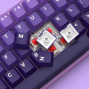 Womier PBT keycaps,Double Shot keycaps 75 Percent,Cherry Profile Keyboard keycaps,Gradient Purple Key Cap for Mechanical Gaming Keyboards（132key,only keycaps）