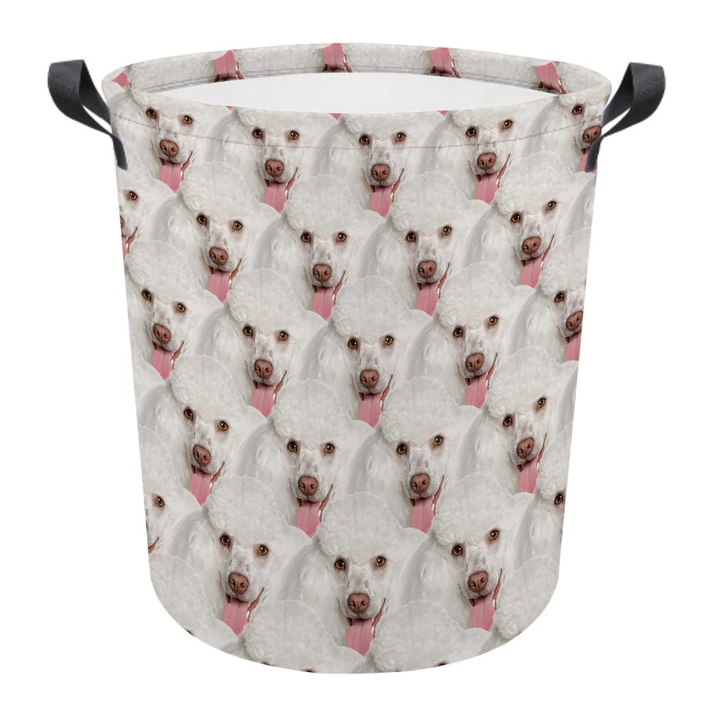 MALIHONG Dog Face Laundry Basket Lovely Poodle Dog Mash Face Animal Collapsible Laundry Hamper with Handle Waterproof Fabric Toy Box Clothes Storage Basket for Bedroom Nursery