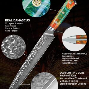 SANMUZUO 9 Inch Carving Knife, Slicing Knife - Hammered Damascus Steel & Resin Handle - Yao Series