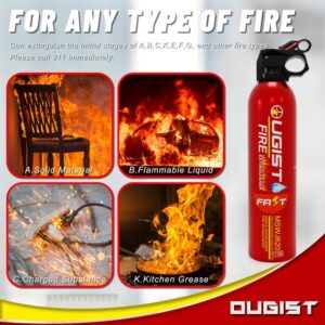 Fire Extinguisher with Mount - 4 in-1 Fire Extinguishers for The House, Portable Car Fire Extinguisher, Water-Based Fire Extinguishers(620ml)