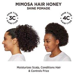 Carol's Daughter Hair Treatment Bundle - Mimosa Hair Honey Shine Pomade and Goddess Strength 7 Oil Blend Strengthening for 2A to 4C Hair with Shea Butter and Castor Oil