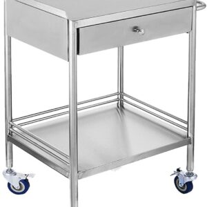 Lab Serving Cart, 2-Layer Utility Cart Stainless Steel with Wheels Rolling Cart, Commercial Wheel Dental Lab Cart Utility Services with Single Drawer and Silent Omnidirectional Lockable Wheel