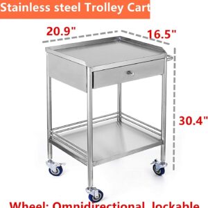 Lab Serving Cart, 2-Layer Utility Cart Stainless Steel with Wheels Rolling Cart, Commercial Wheel Dental Lab Cart Utility Services with Single Drawer and Silent Omnidirectional Lockable Wheel