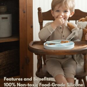 Ullabelle Lilac 4-Piece Suction Toddler Plates & Bowls Set - BPA Free, Microwave & Dishwasher Safe, 100% Food Grade Silicone