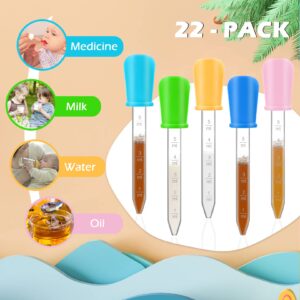 Basic Model 22 Pack Liquid Droppers for Kids Crafts, 5ml Clear Medicine Eye Dropper, Silicone and Plastic Pipettes with Bulb Tip and Clean Brush for Candy Mold