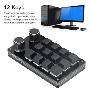 Yoidesu OSU Keypad 12 Key Gaming Keyboard, USB Mini 12 Key 2 Knobs Keypad Mechanical Gaming Keyboard, DIY Programming PC Keyboard, for Office, Game, Music, Media, Laboratory