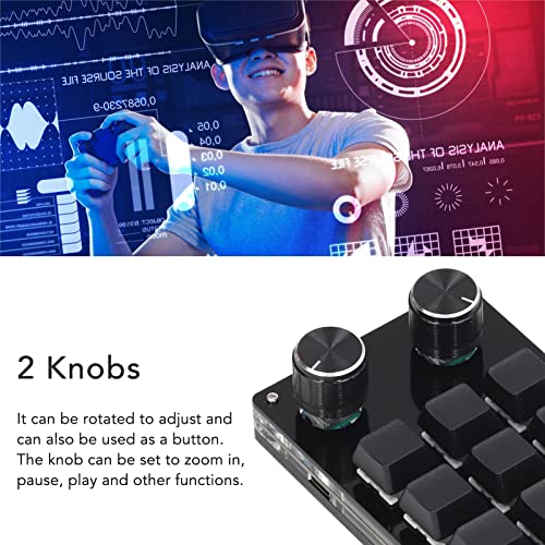 Yoidesu OSU Keypad 12 Key Gaming Keyboard, USB Mini 12 Key 2 Knobs Keypad Mechanical Gaming Keyboard, DIY Programming PC Keyboard, for Office, Game, Music, Media, Laboratory